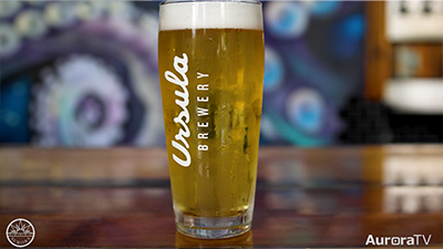 Ursula Brewery | Auroratv